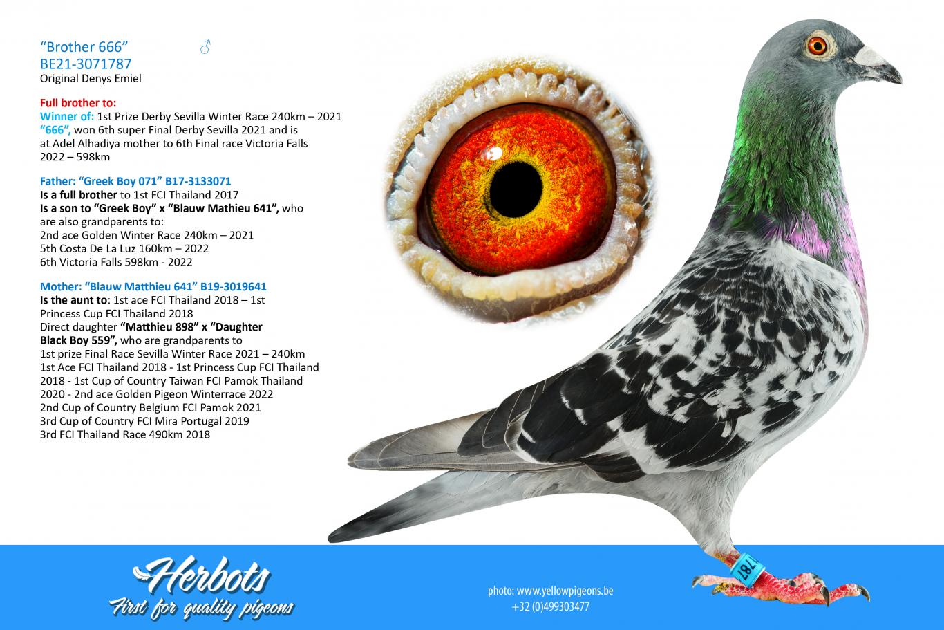 Herbots | Emiel Denys – Tielt For decades a top runner on the marathon ...