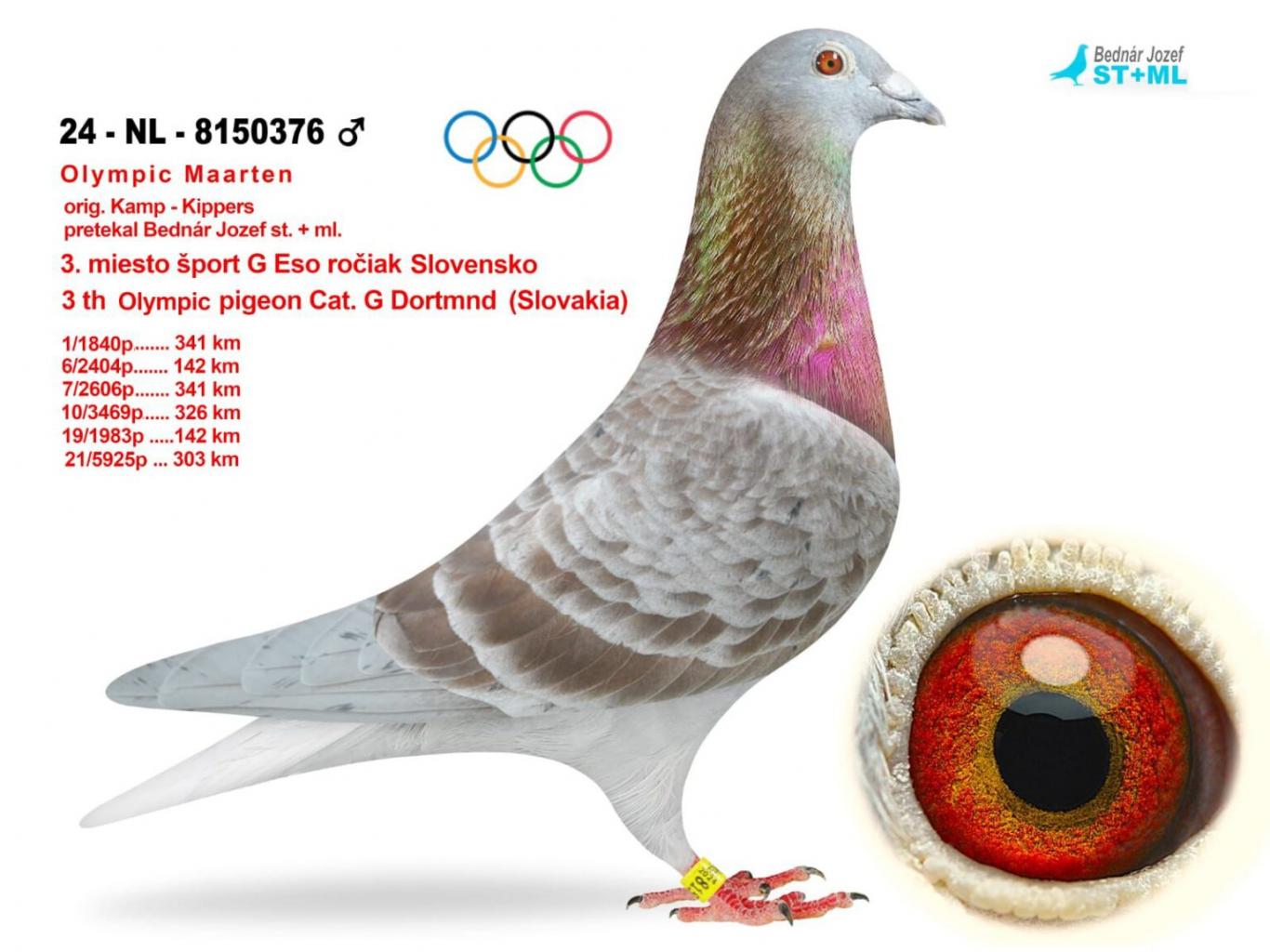 Herbots | Kamp/Kippers leading in Section 9 East Netherlands and ...